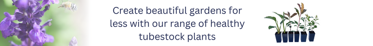 Plant Haven Nursery